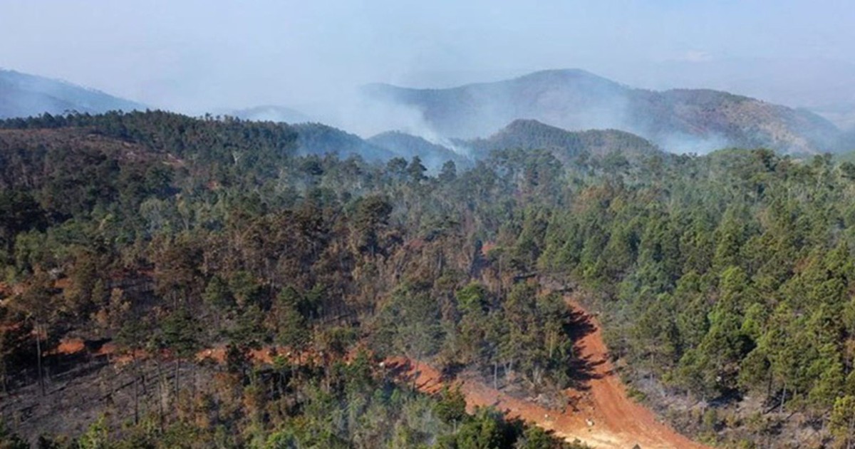 Continúa Descontrolado El Incendio Forestal En Holguín Adn Cuba
