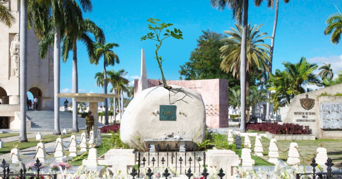 El que no quiera moringa que se vaya pa la... | ADN Cuba